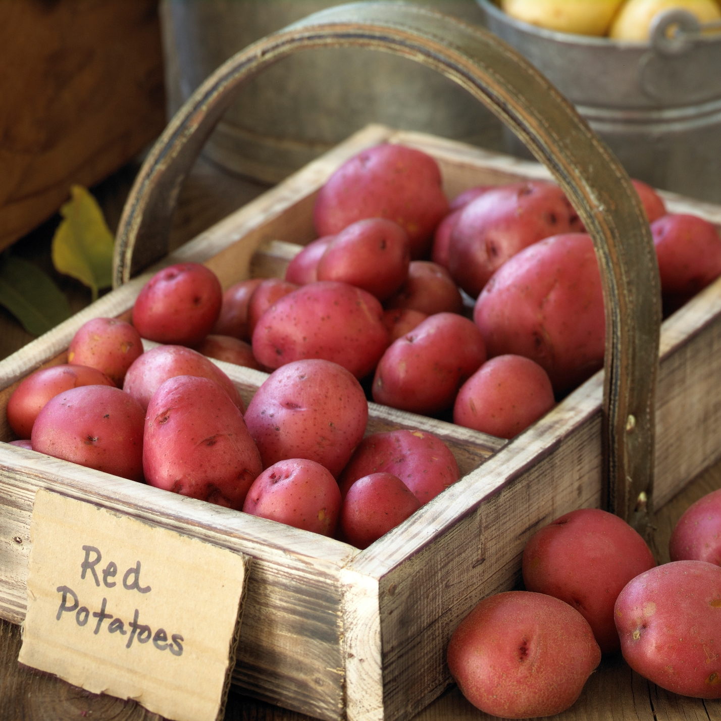 F2F Chef Tips: Red Potatoes | The Perfect Potato for Cooking